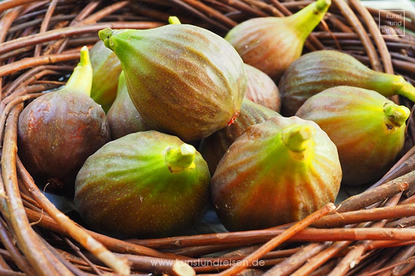 Feigen - Ernte der süßen Früchte im eigenen Garten